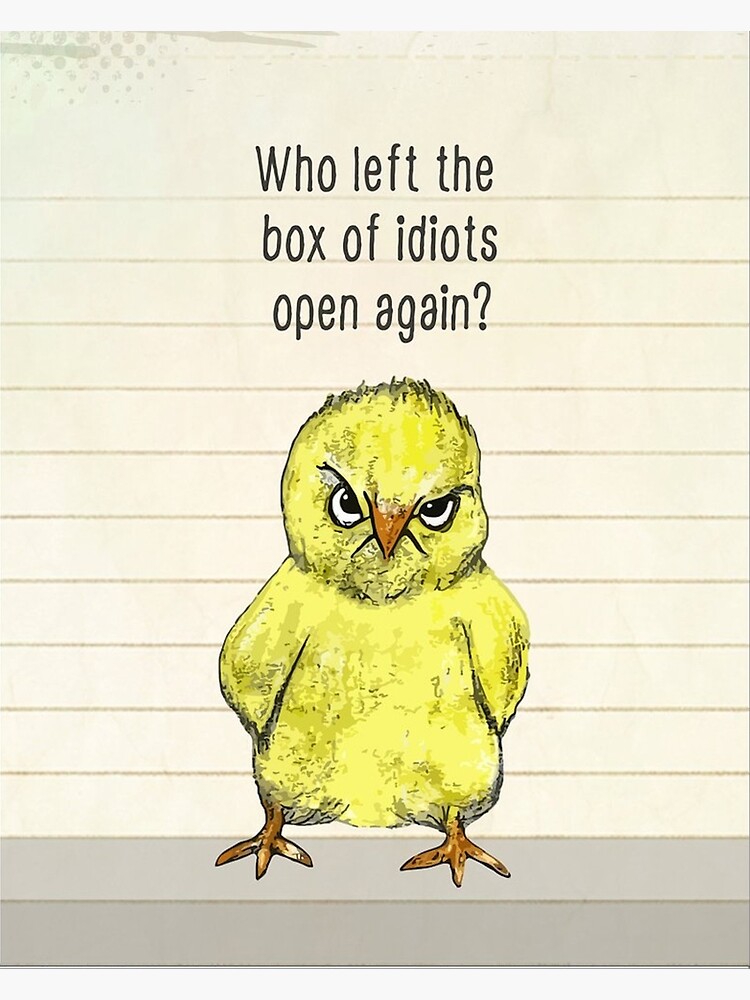Angry Chick Who Left The Box Of Idiots Open Again Poster For Sale angry-chick-who-left-the-box-of-idiots-open-again-poster-for-sale