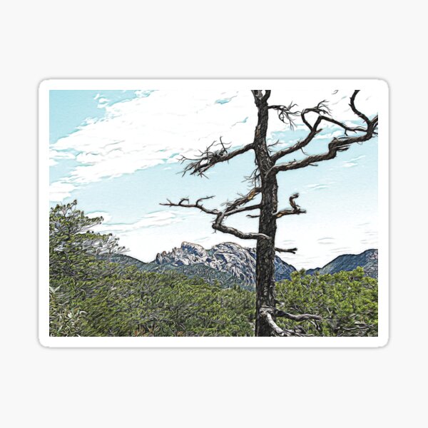 "Cochise Head " Sticker for Sale by backinajpg | Redbubble