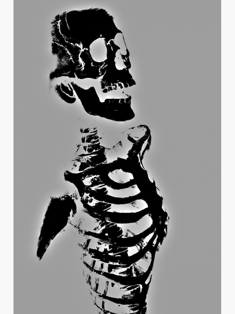 "Eve, an inspiring skeleton" Sticker for Sale by tenderlovingart ...