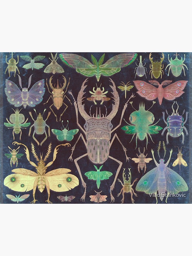 "Entomologist's Wish (The Neon Version)" Art Board Print for Sale by ...