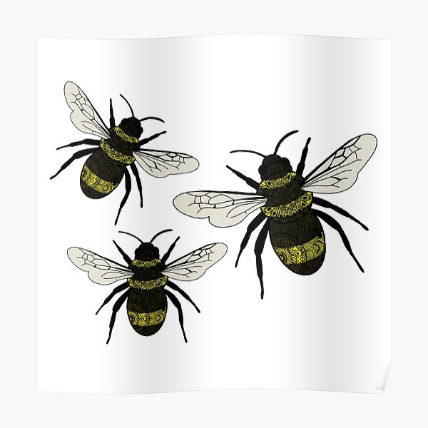 "Bee trio" Poster for Sale by Livy059 | Redbubble