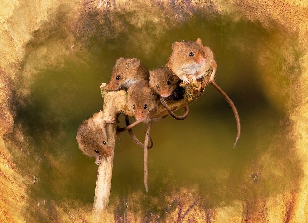 "The mice are meeting!" by Christina Brundage | Redbubble