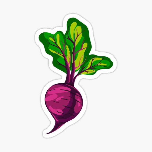 "Beet" Sticker by bethanysart | Redbubble