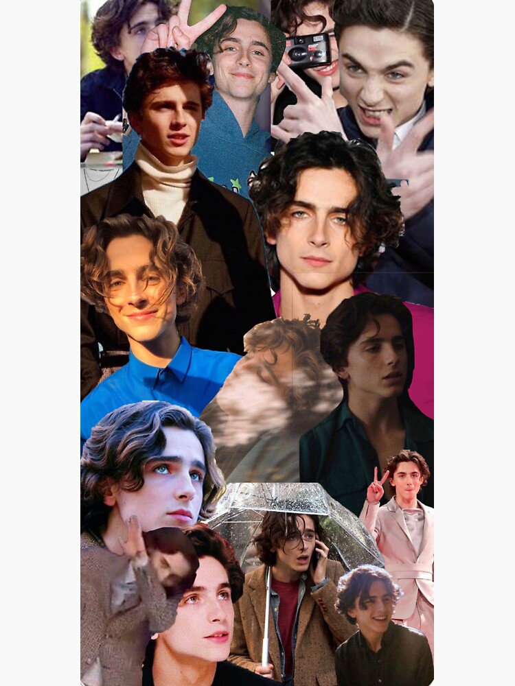 "timothee chalamet cute collage