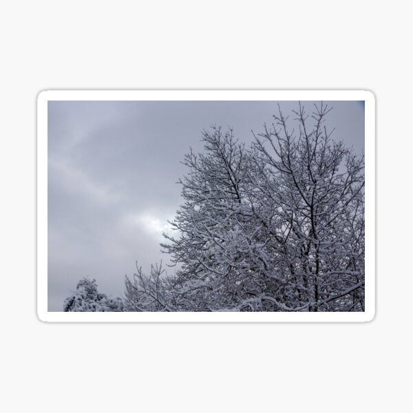 Zurickdesigns Shop | Redbubble