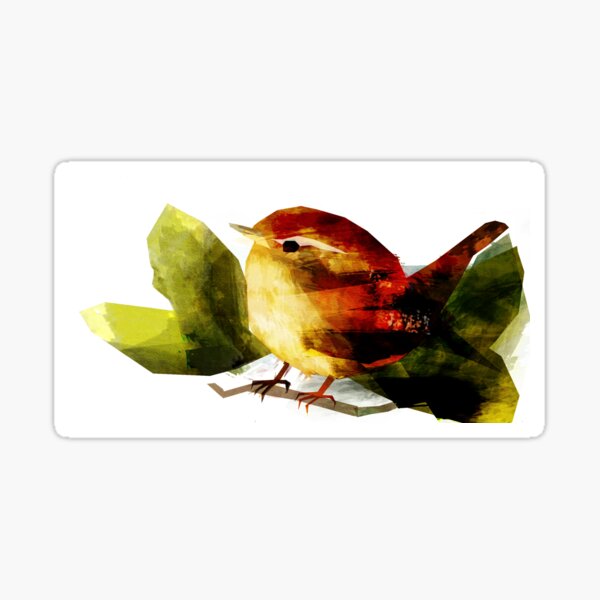 "Wren" Sticker for Sale by carlydraws | Redbubble