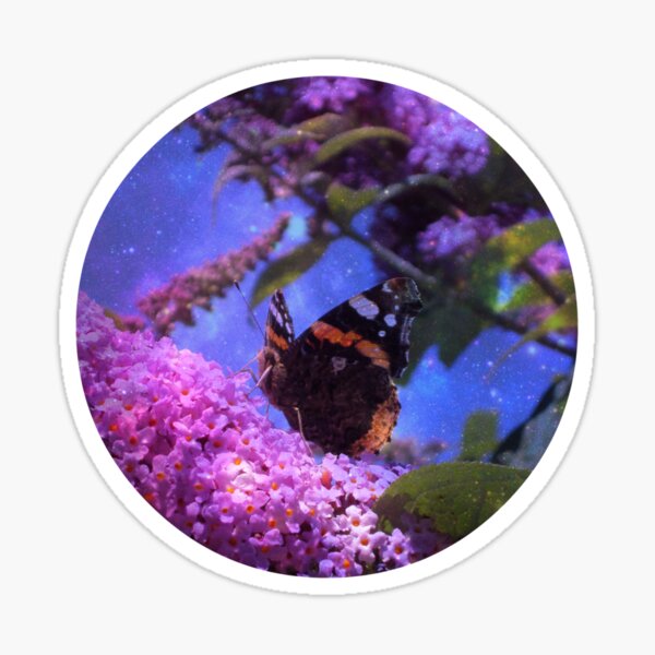 "Fantasy Red Admiral Butterfly" Sticker for Sale by TataniaRosa | Redbubble