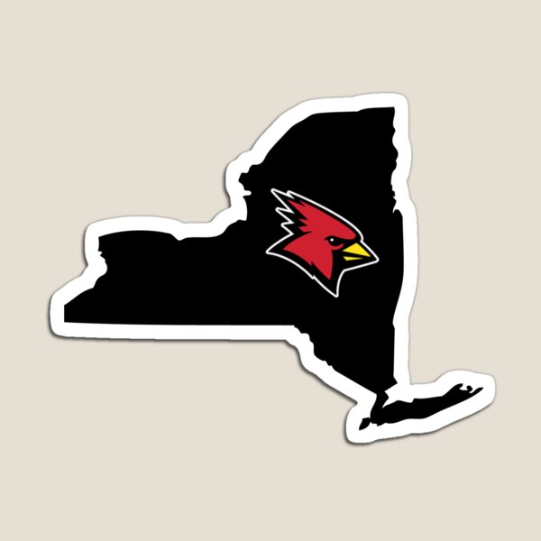 Suny Plattsburgh Gifts & Merchandise | Redbubble