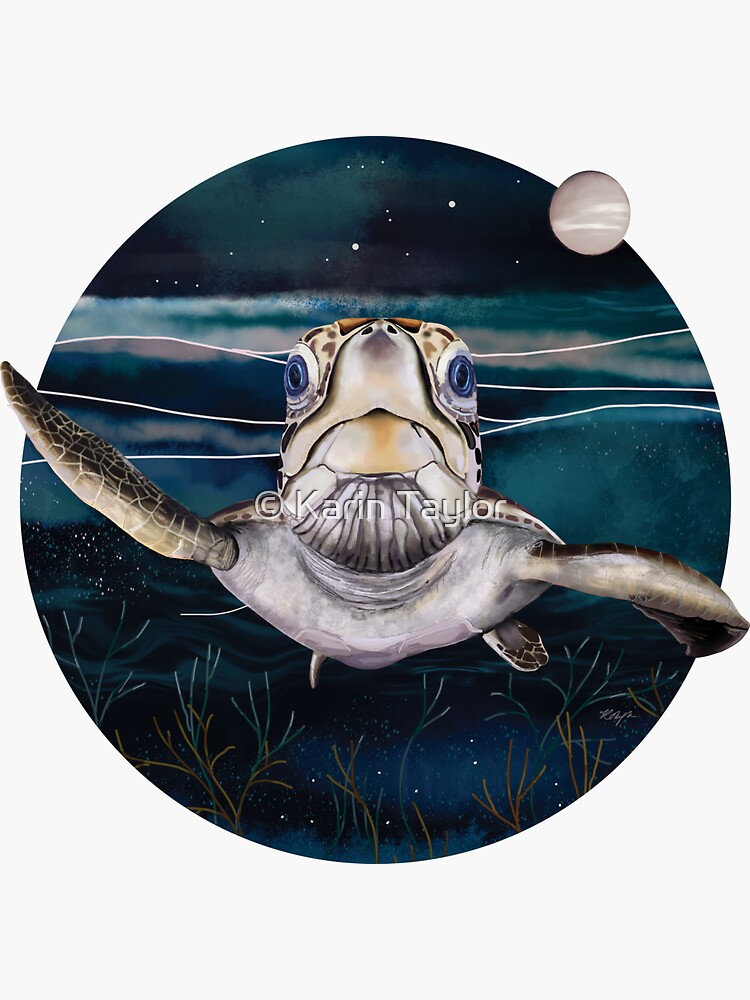"Cosmic Turtle" Sticker by karin | Redbubble