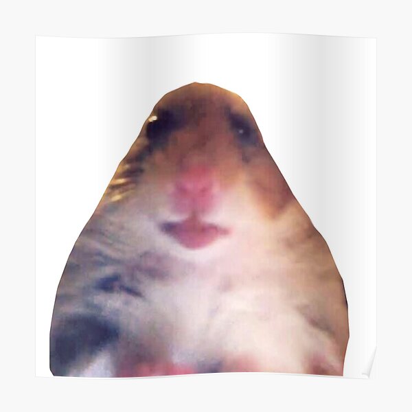 "Hamster meme" Poster for Sale by Snoringtacos | Redbubble