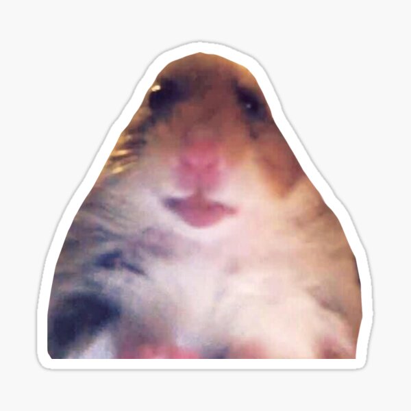 "Hamster meme" Sticker for Sale by Snoringtacos | Redbubble