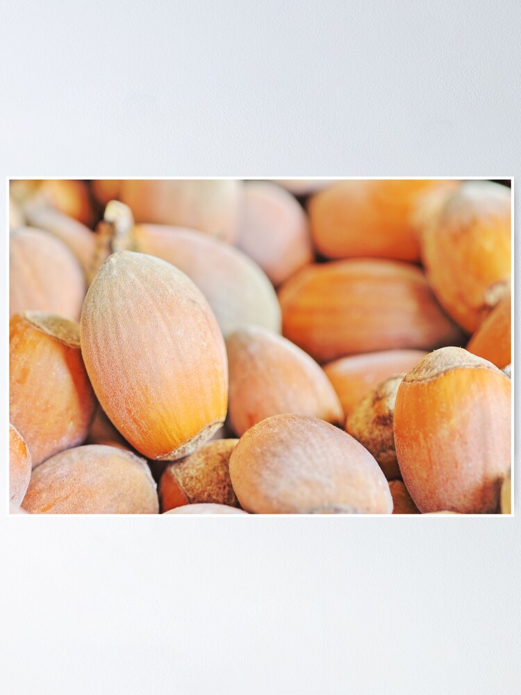 Póster «Fondo completo de avellana» de Gregory-DUBUS | Redbubble