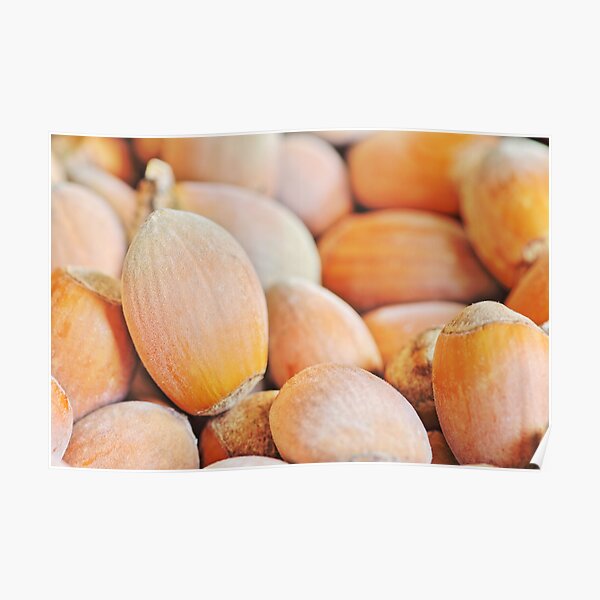 Póster «Fondo completo de avellana» de Gregory-DUBUS | Redbubble