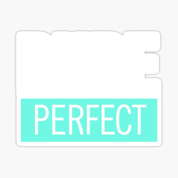 Dude Perfect Stickers | Redbubble