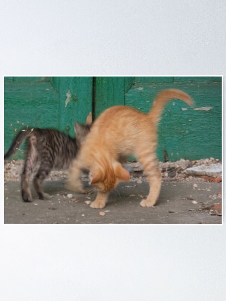 "The cat game" Poster for Sale by Ganymedes1986 | Redbubble