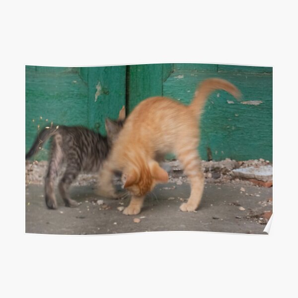 "The cat game" Poster for Sale by Ganymedes1986 | Redbubble