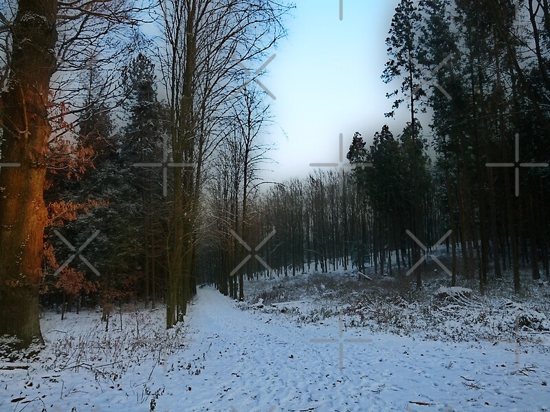 "One Cold Winter's Day" by Denise Abé | Redbubble