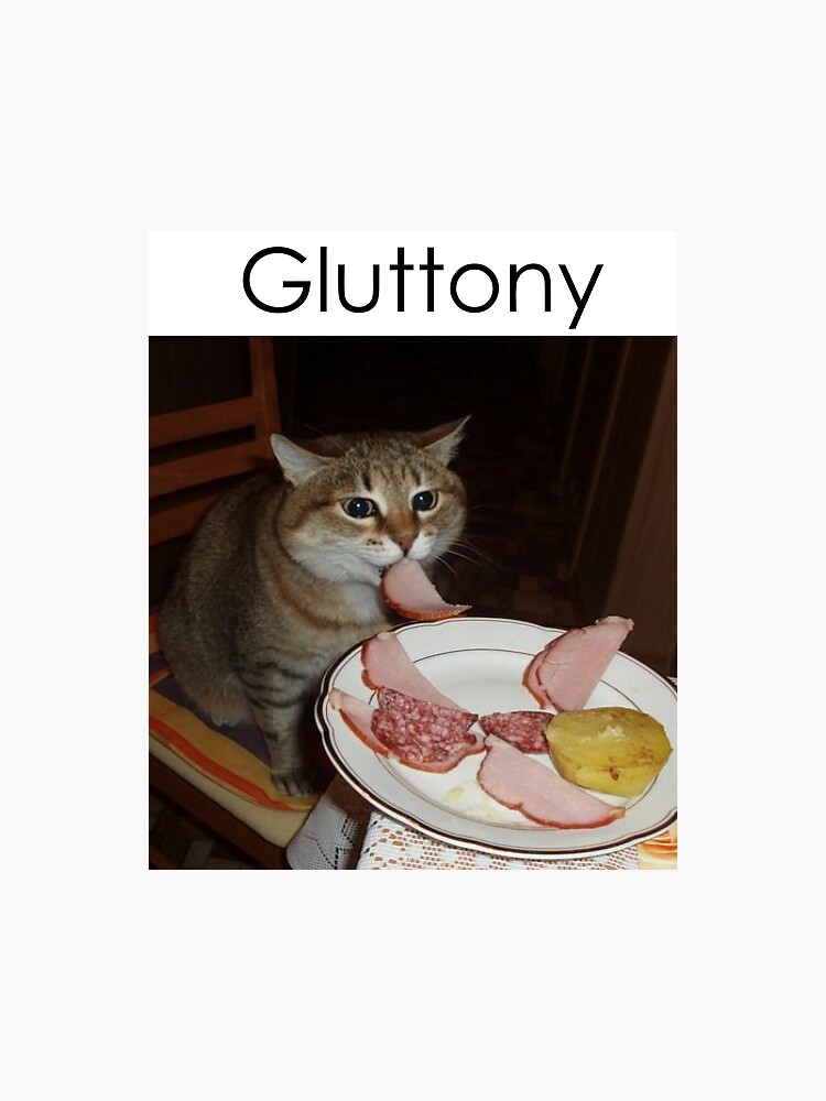 "Gluttony Cat Sticker" Sticker by katjeluftwaffle | Redbubble