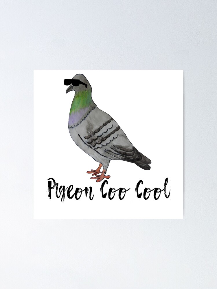 "Pigeon Coo Cool" Poster by ABY-Creative | Redbubble