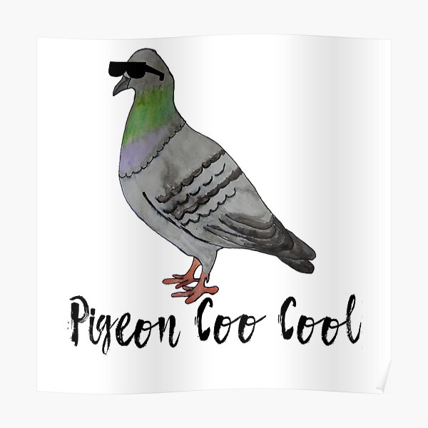 "Pigeon Coo Cool" Poster by ABY-Creative | Redbubble