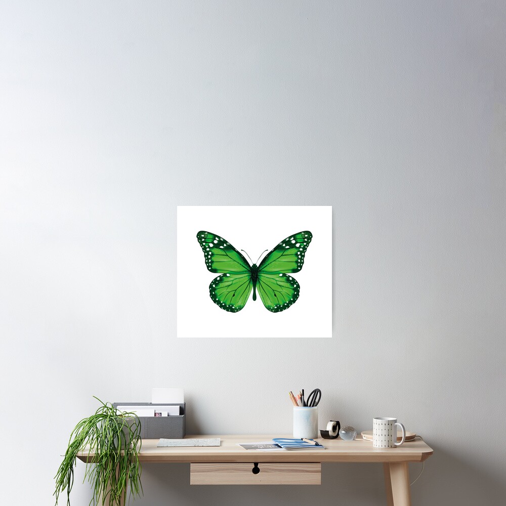"Beautiful green butterfly" Poster by elnamadilaih | Redbubble