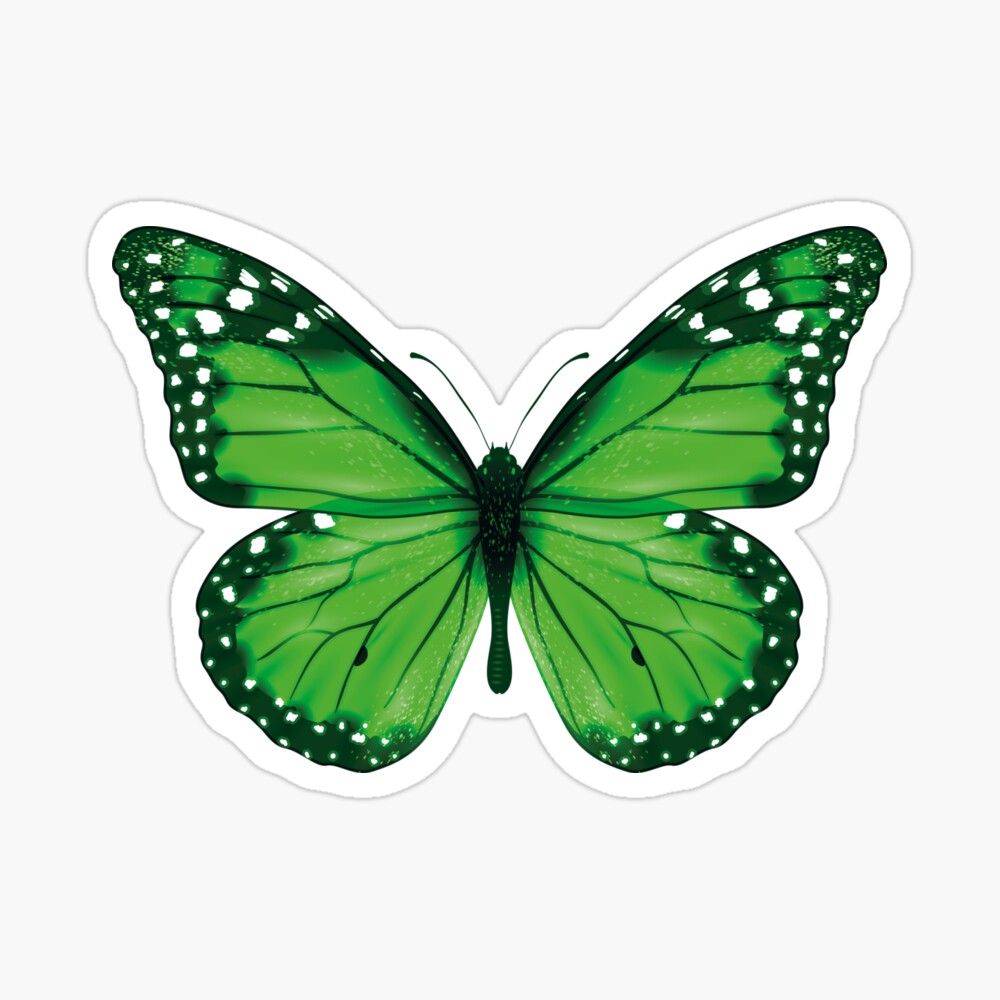 Imágenes De Mariposas Verdes