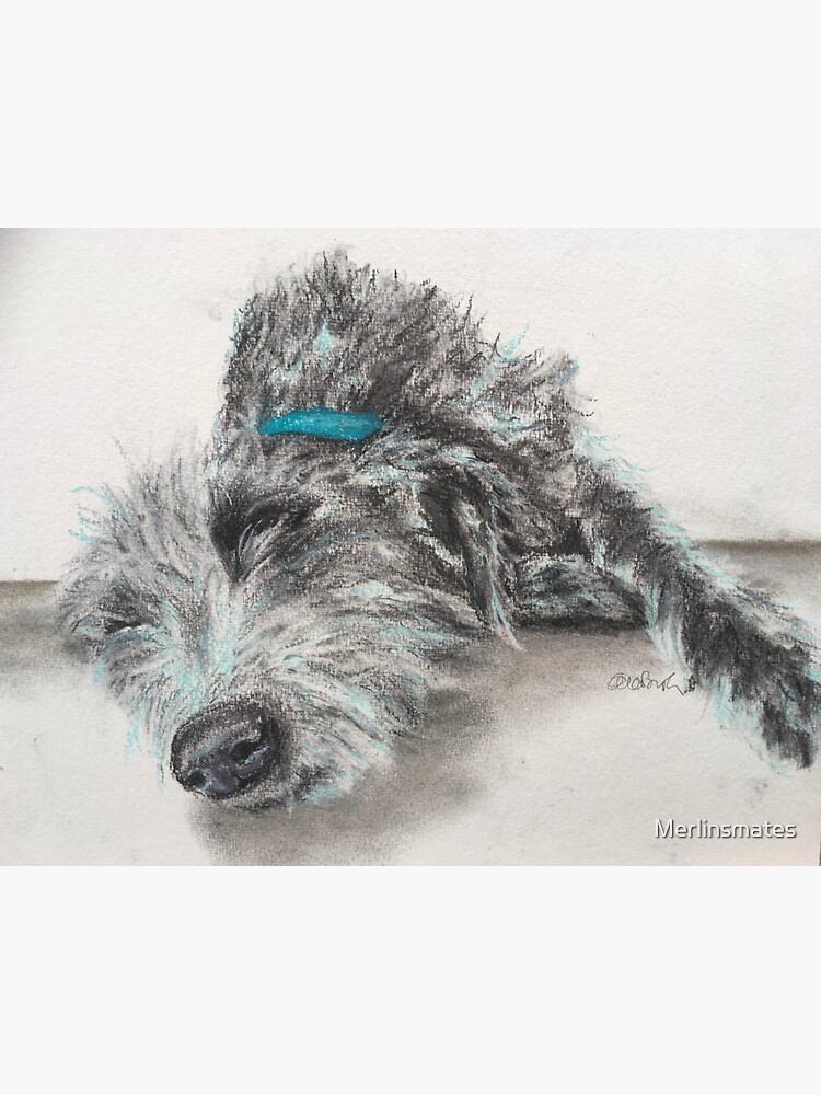 "Sleeping scruffy Lurcher " Sticker for Sale by Merlinsmates | Redbubble