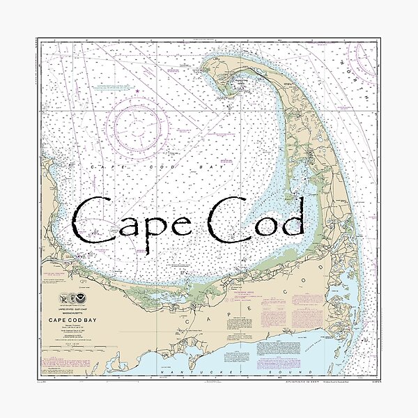 "Cape Cod Nautical Chart , Unique Custom Nautical Chart Cape cod ...