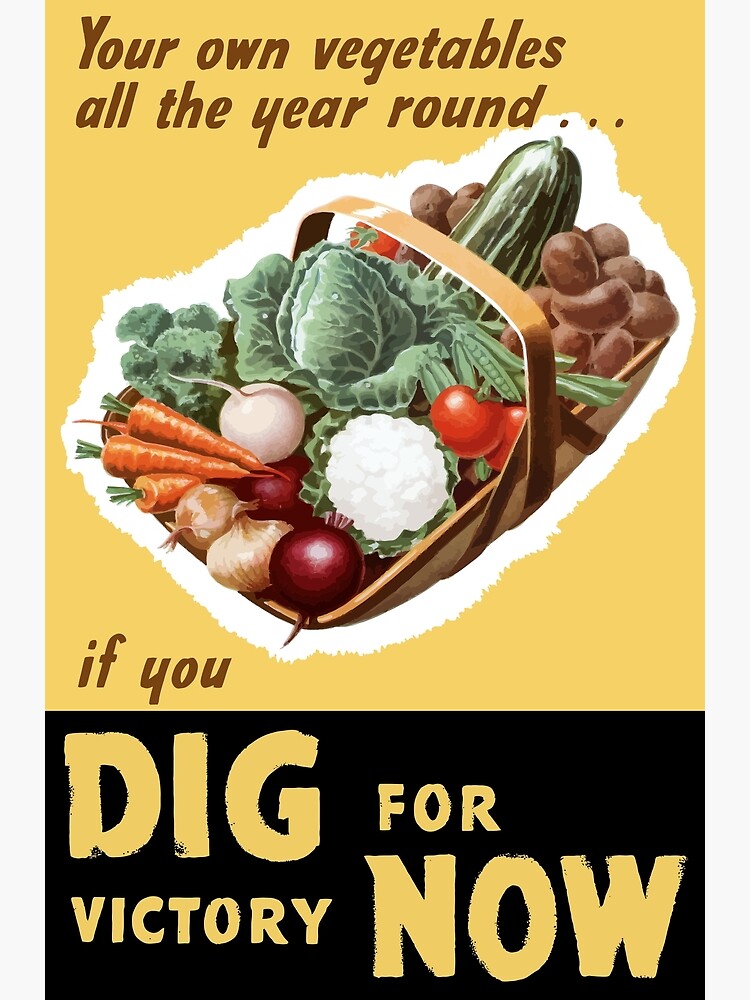 "Dig For Victory Now -- WWII" Poster for Sale by warishellstore | Redbubble