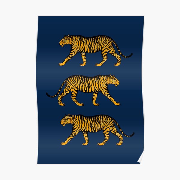 "Tigers (Navy Blue and Marigold)" Poster for Sale by illucalliart ...