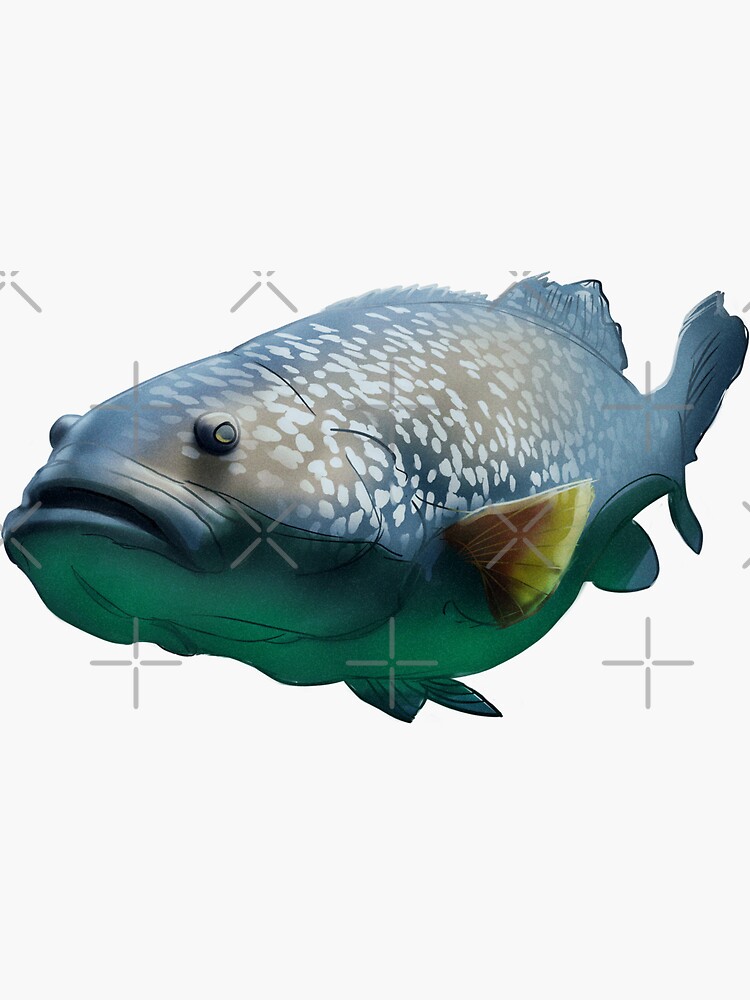 "Grumpy fish" Sticker by Drawfish | Redbubble