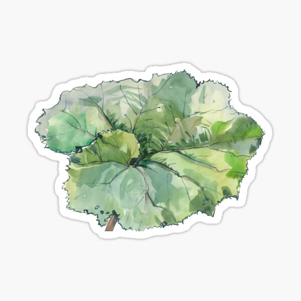 "burdock, watercolor sketch from nature" Sticker for Sale by avamnenado ...