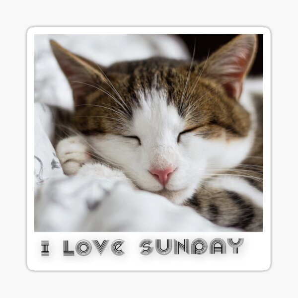"Relax on Sunday" Sticker by aruvanita | Redbubble