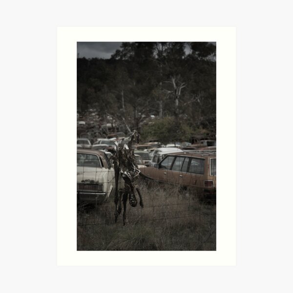 Roadkill Art Prints | Redbubble