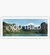 You Tried: Stickers | Redbubble