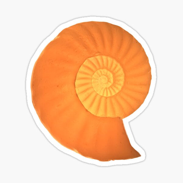 "Translucent Glowing Amber Ammonite" Sticker by NSFossils | Redbubble