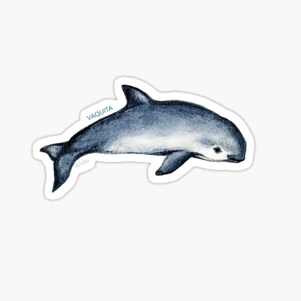 "VAQUITA" Sticker for Sale by NozoMojo | Redbubble