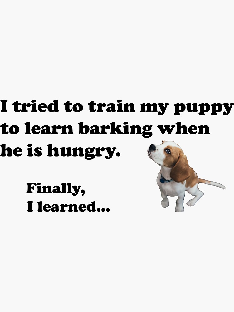 "Teaching Your Dog Barking" Sticker for Sale by GO-OUTSTANDING | Redbubble