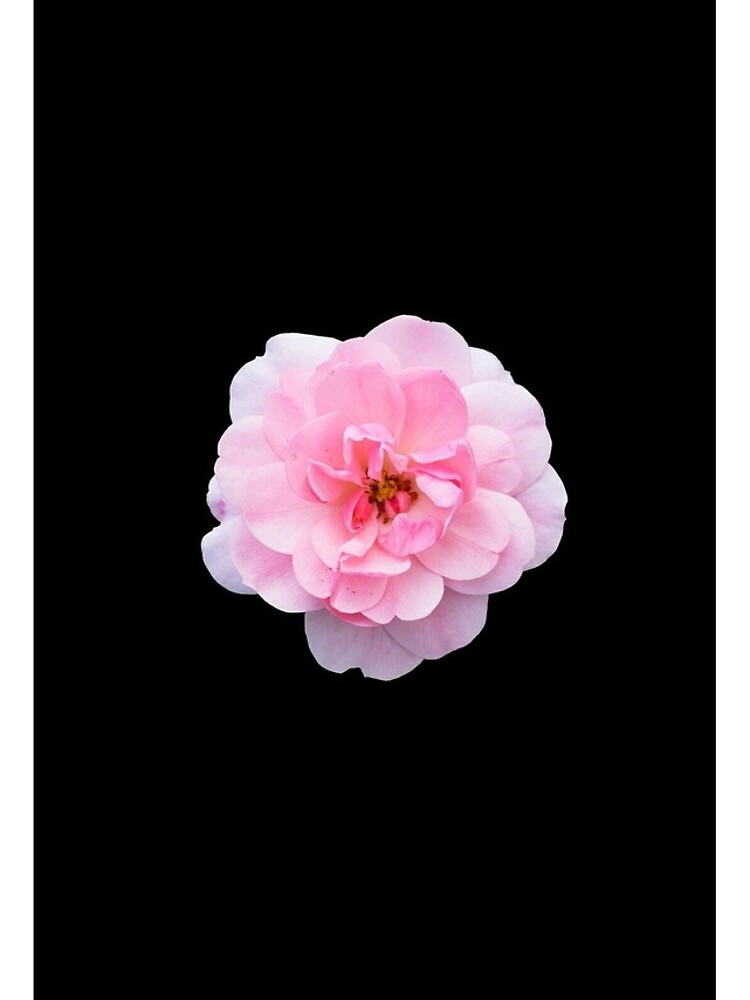 "Oirda" iPhone Case for Sale by Muszar | Redbubble