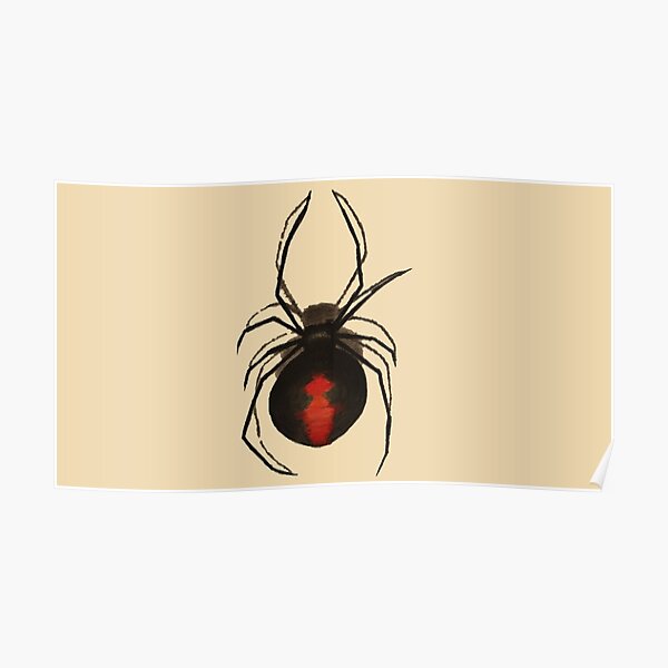 "Australian Redback Spider" Poster for Sale by TheWebspinner | Redbubble