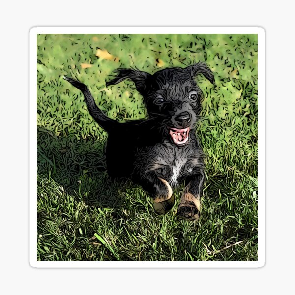 "Run Fuzzy Run" Sticker by ArtisticPetShop | Redbubble