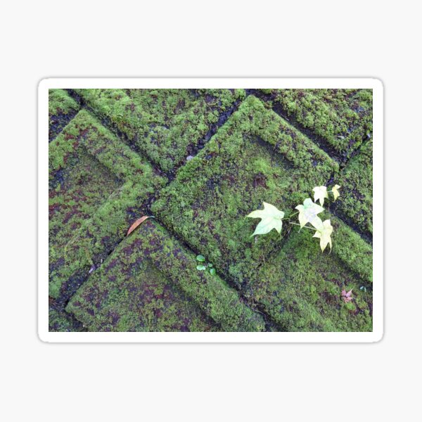 "Marvelous Moss on Paving Stones" Sticker by cuisinecat2 | Redbubble