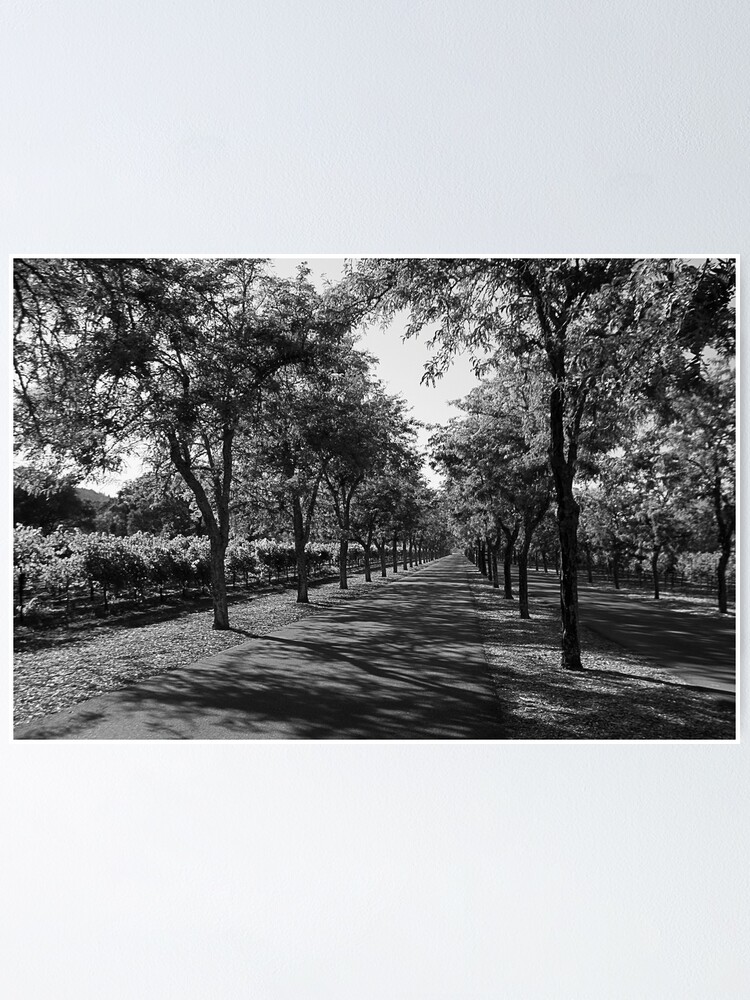 "Memory Lane" Poster by DBArt | Redbubble