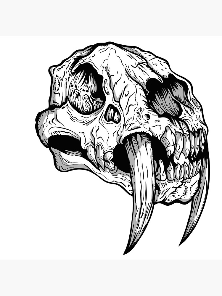 "Sabertooth Skull" Art Print for Sale by PayneDigitalArt | Redbubble