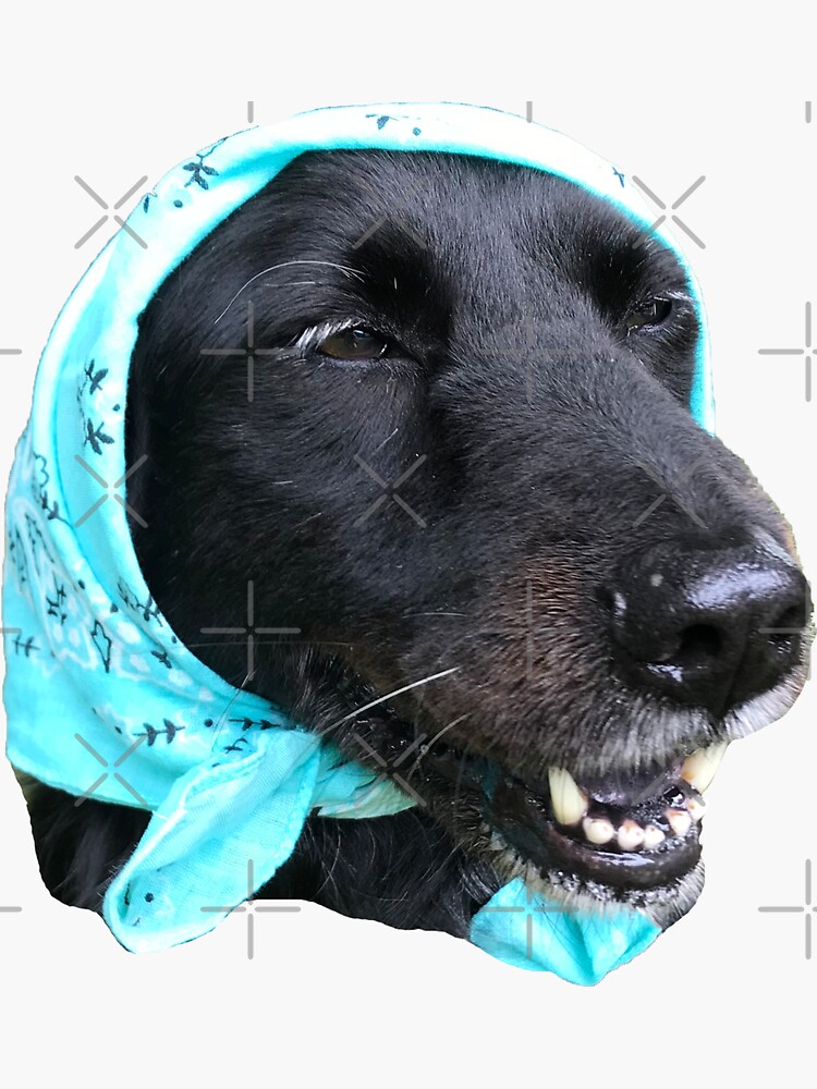 "Babushka Dog" Sticker by sarah1417 | Redbubble