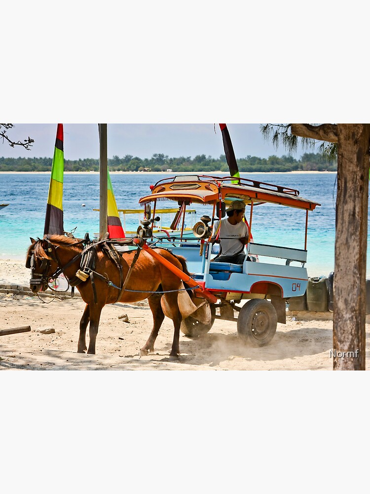 "Cidomo horse carts of the Gili Islands 5" Art Print for Sale by Normf ...