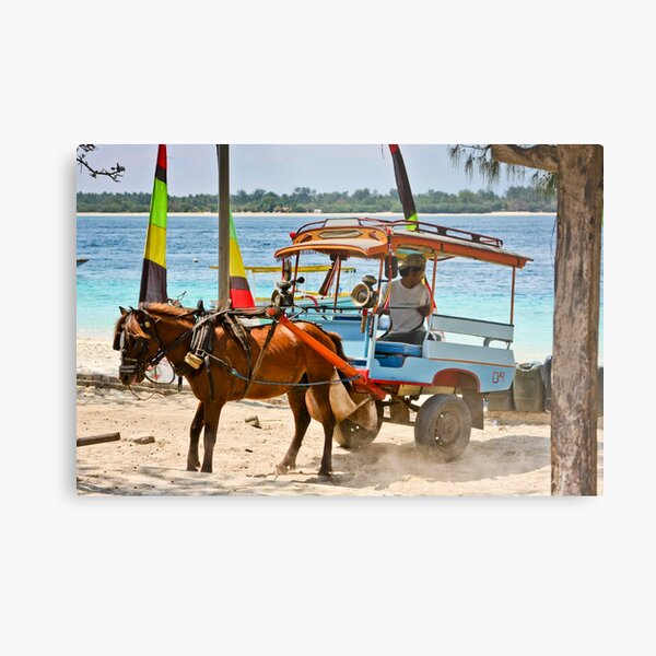 "Cidomo horse carts of the Gili Islands 5" Metal Print for Sale by ...