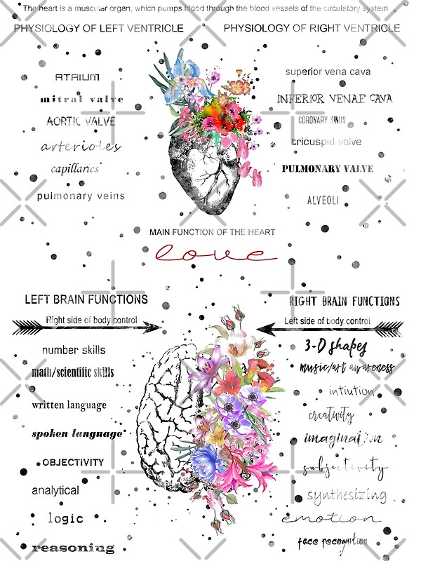 "Heart and brain" by Rosaliartbook | Redbubble