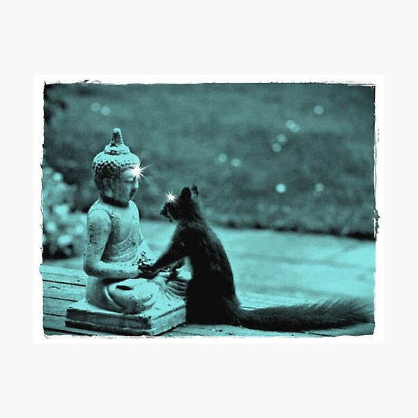 Lexx Wall Art | Redbubble