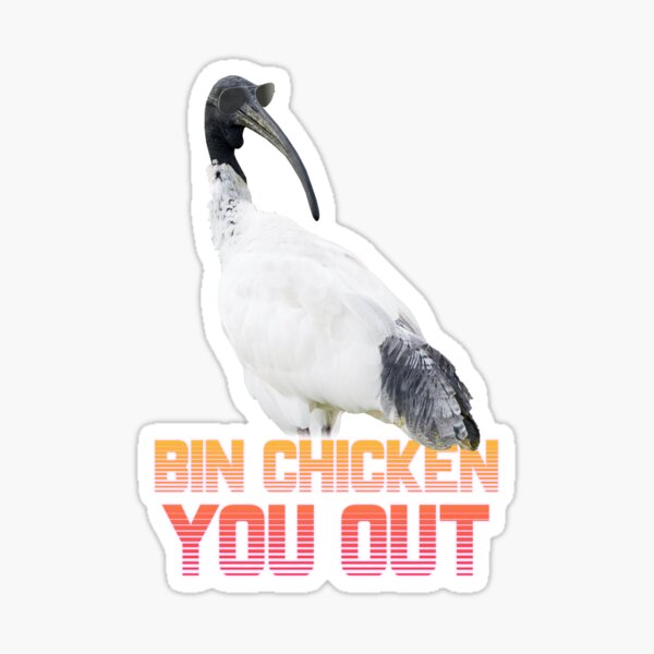 Bin Chicken Stickers | Redbubble
